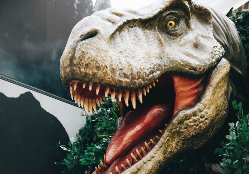 Parque Jurassic World chega ao Pátio Batel com atrações gratuitas