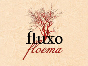"Fluxo Floema, Periféricas" transforma relatos femininos em arte e ...
